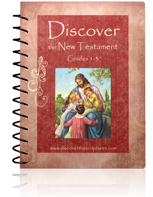 Discover the New Testament Grades 1-3 (Digital Download) – Discover The ...